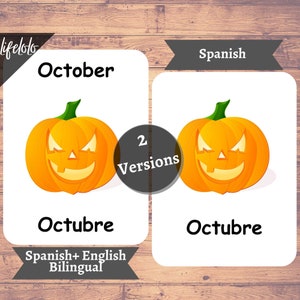 Months of the Year SPANISH Flash Cards, 12 Bilingual Cards, Montessori ...