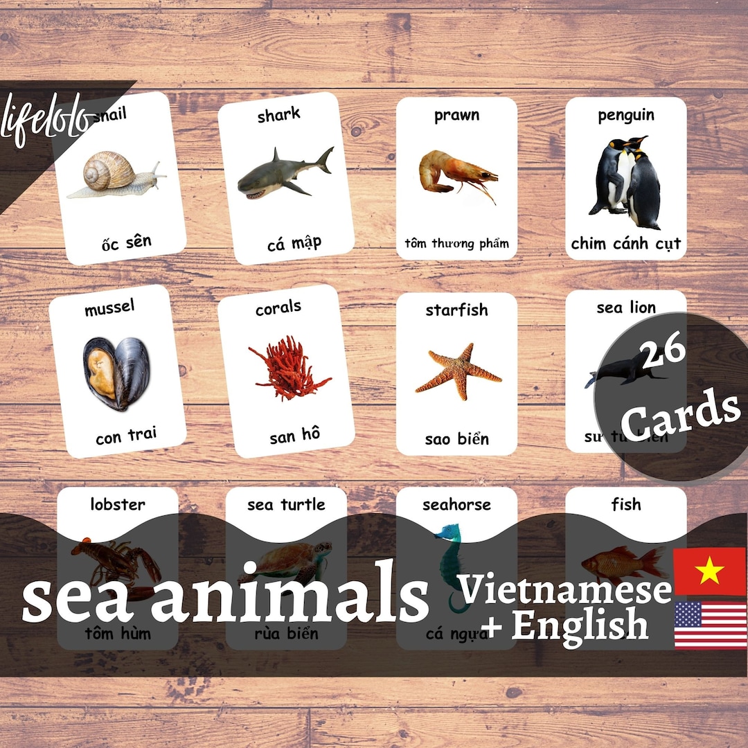 Sea Animals VIETNAMESE Version English Bilingual Cards 26 Vietnamese ...