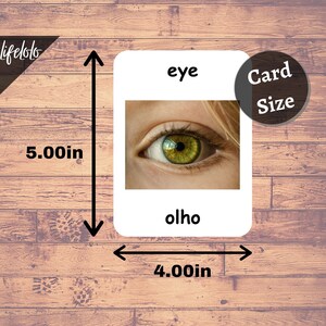 Body Parts (real) | Brazilian PORTUGUESE | English Bilingual Cards | 24 ...