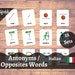 Antonyms ITALIAN Flashcards, English Bilingual Cards, 104 Opposite ...