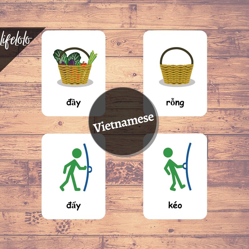 Antonyms Vietnamese Flashcards English Bilingual Cards 104 - Etsy