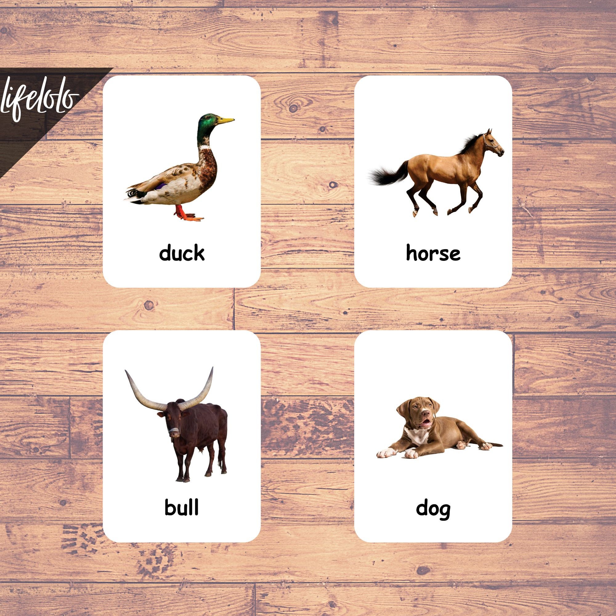 Farm Animals Real Images - 27 Flash Cards | Montessori Cards ...