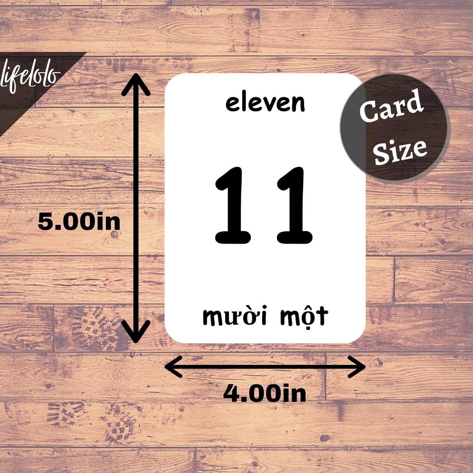 VIETNAMESE Flash Cards BUNDLE Vietnamese English Bilingual - Etsy