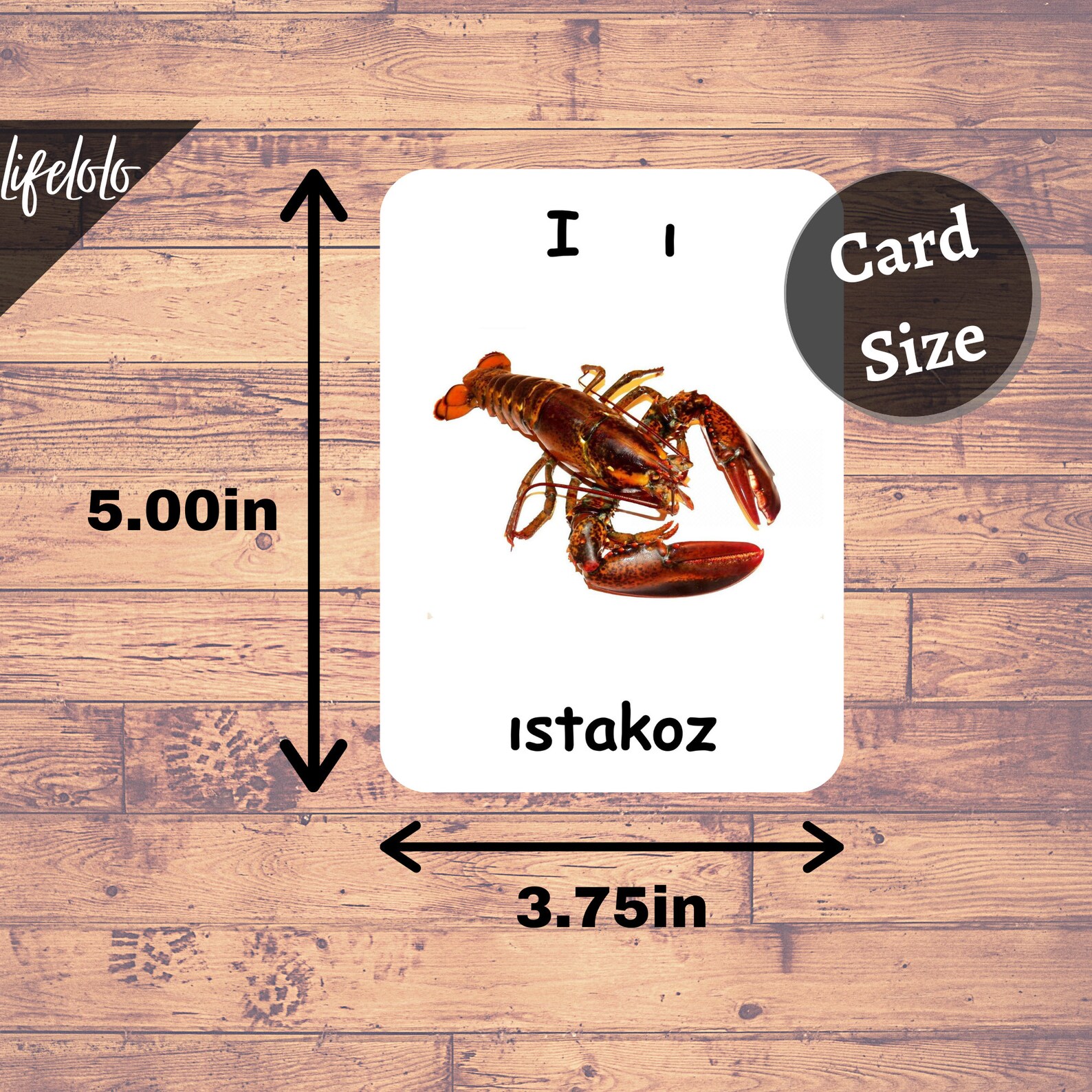 Turkish Alphabets Flash Cards, Turkish Montessori Cards, Homeschooling ...