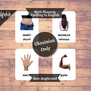 Body Parts real UKRAINIAN English Bilingual Cards 24 Ukrainian Flash ...