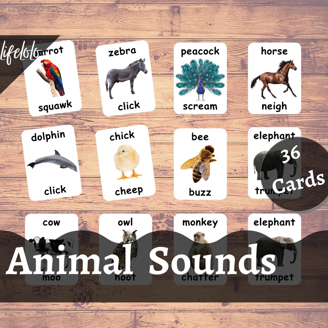 Animal Sounds Flash Cards, Montessori Cards, Nursery Printable, 3 Part ...