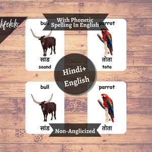 Farm Animals | HINDI | English Bilingual Cards | 27 Hindi Flash Cards ...