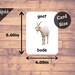 Farm Animals | Brazilian PORTUGUESE | English Bilingual Cards | 27 ...