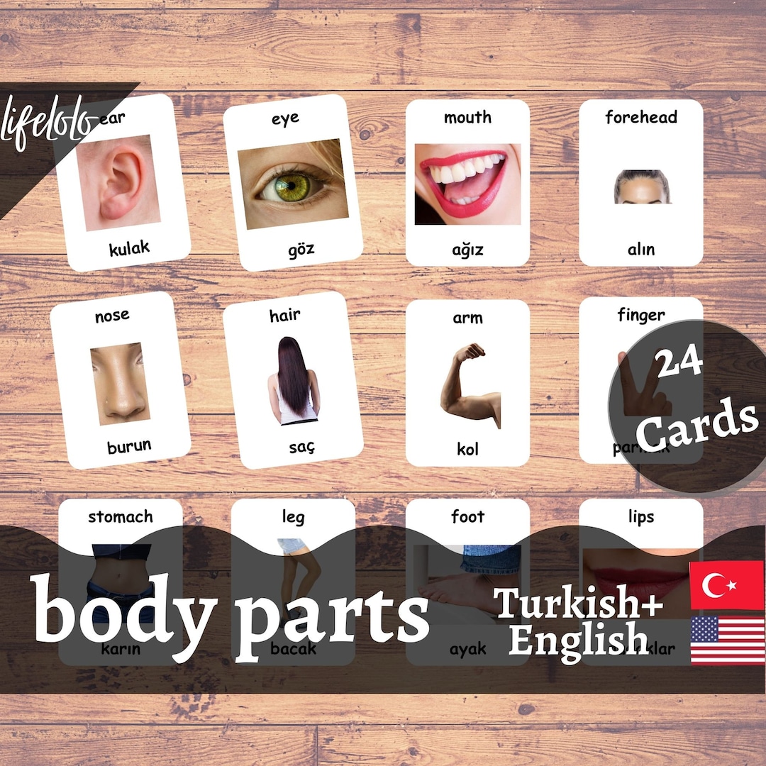 Body Parts (real) | TURKISH | English Bilingual Cards | 24 Turkish ...