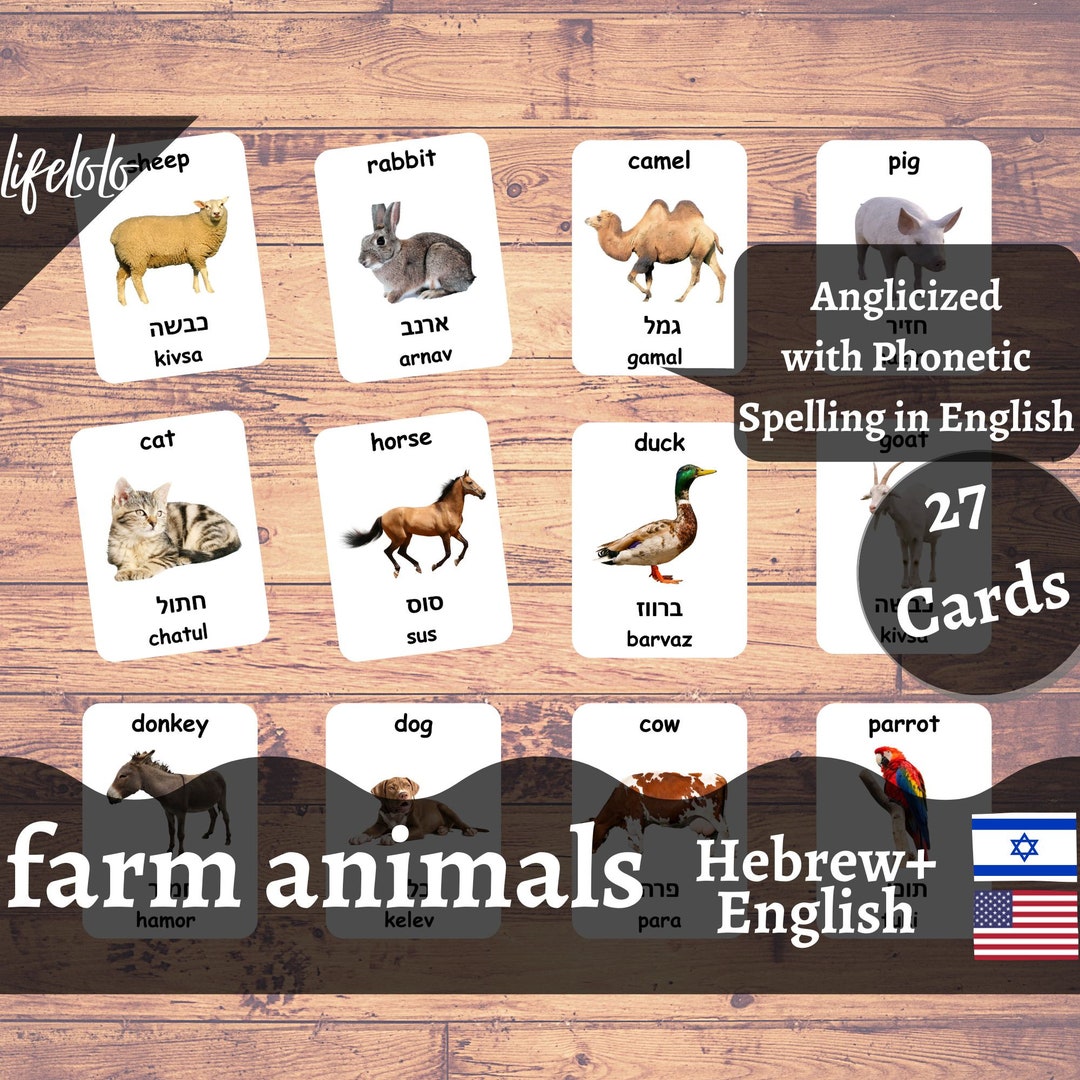 Farm Animals | HEBREW | English Bilingual Cards | 27 Hebrew Flash Cards ...