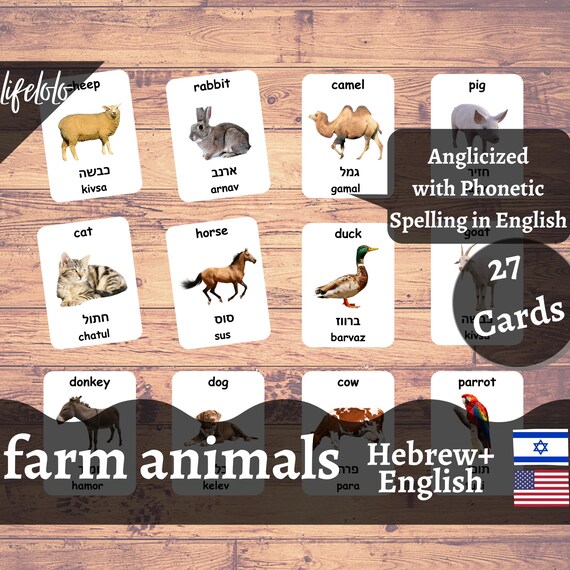 Farm Animals HEBREW English Bilingual Cards 27 Hebrew | Etsy