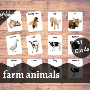 Farm Animals Real Images 27 Flash Cards Montessori Cards | Etsy