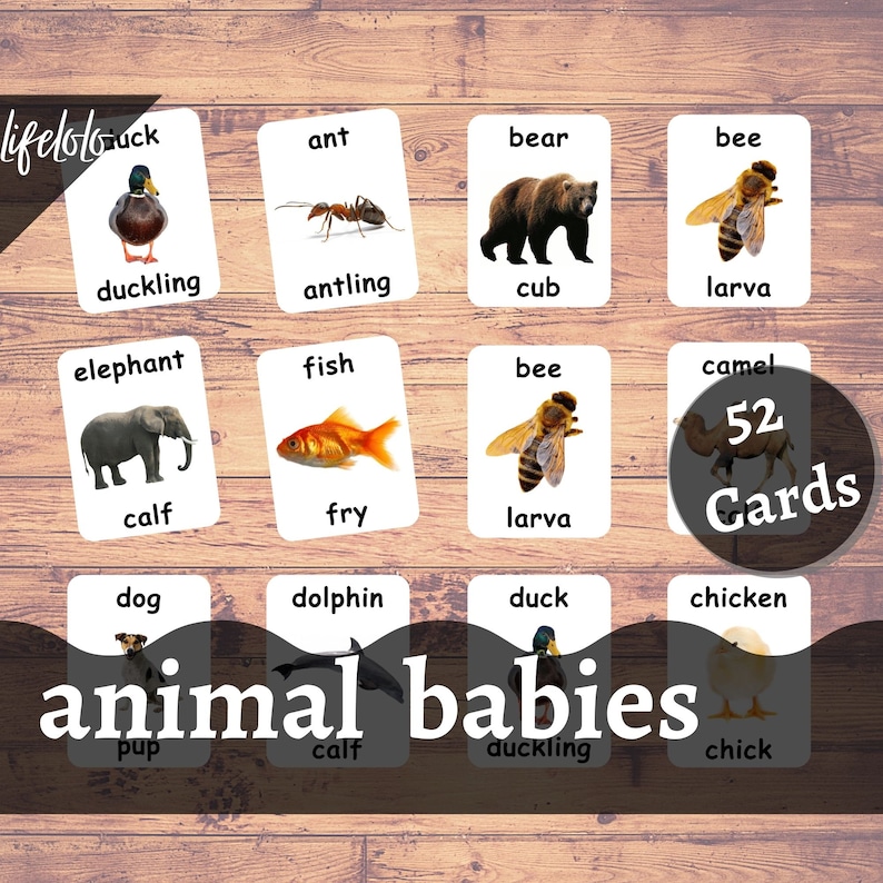 Animal Babies Flash Cards Montessori Cards Nursery - Etsy