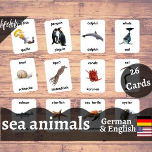 GERMAN Flash Cards BUNDLE German English Bilingual Cards | Etsy