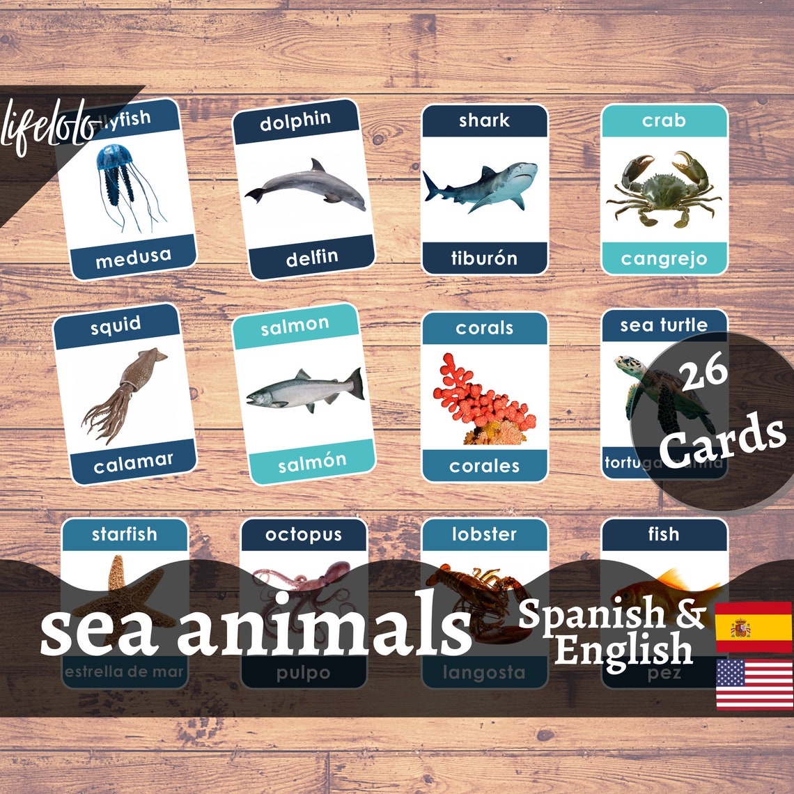 Sea Animals SPANISH Version English Bilingual Cards 26 | Etsy