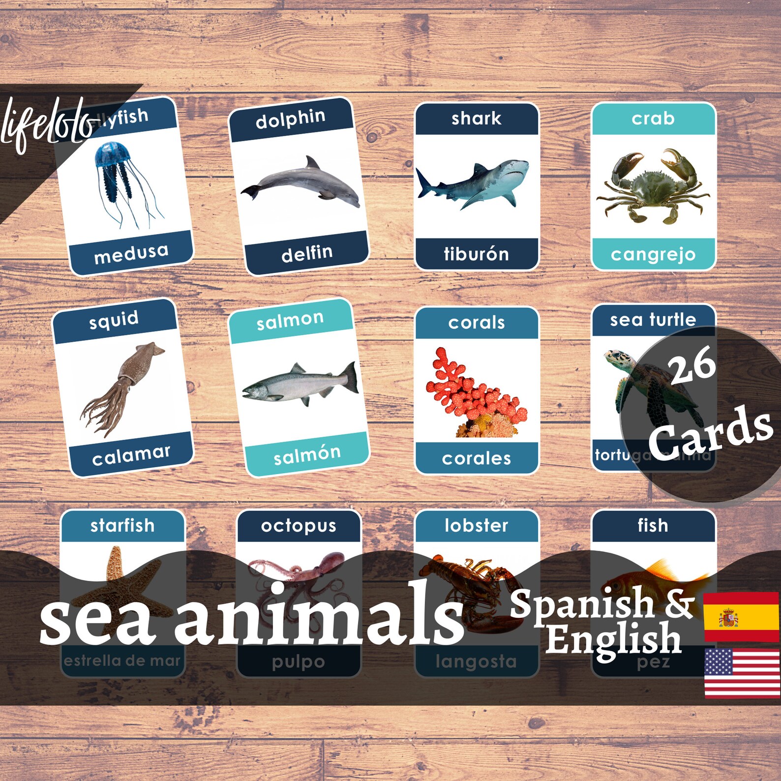Sea Animals SPANISH Version English Bilingual Cards 26 | Etsy