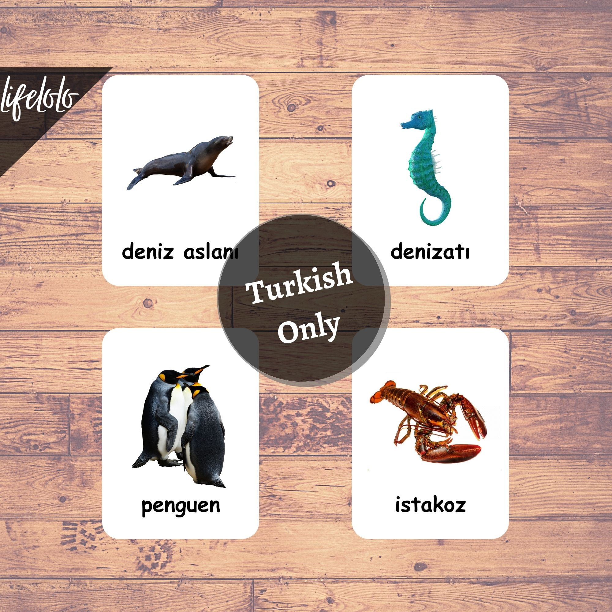 Sea Animals TURKISH Version English Bilingual Cards 26 - Etsy