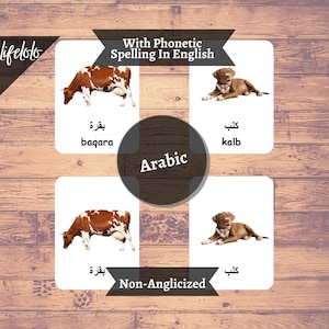 Farm Animals | ARABIC | English Bilingual Cards | 27 Arabic Language ...