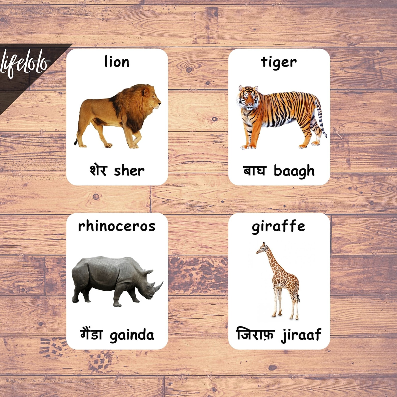 Wild Animals HINDI Version English Bilingual Cards 41 - Etsy