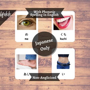 Body Parts (real) | JAPANESE | English Bilingual Cards | 24 Japanese ...