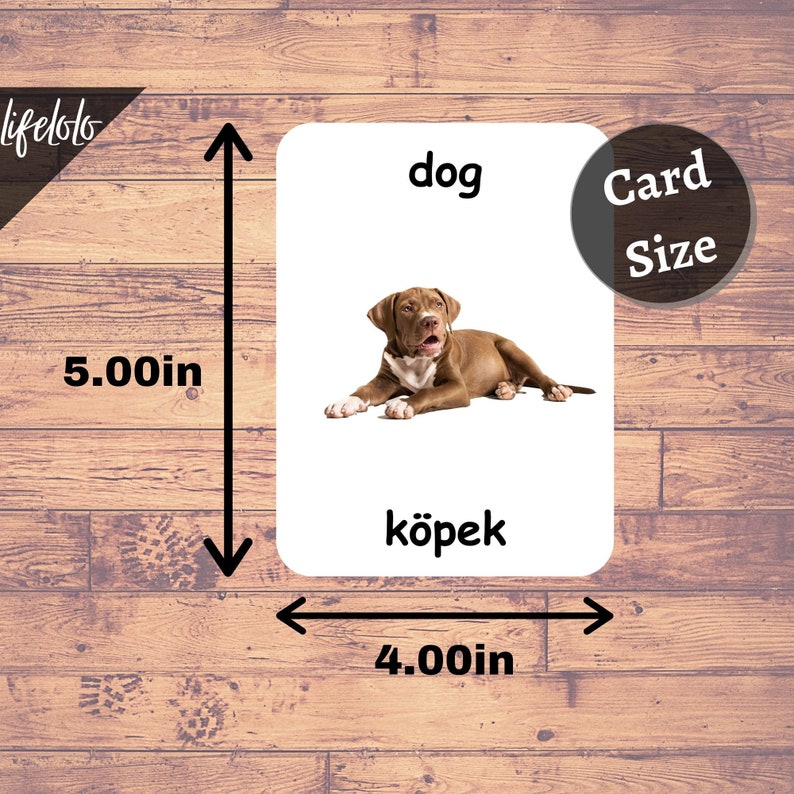 Farm Animals Turkish Flash Cards English Bilingual Cards - Etsy