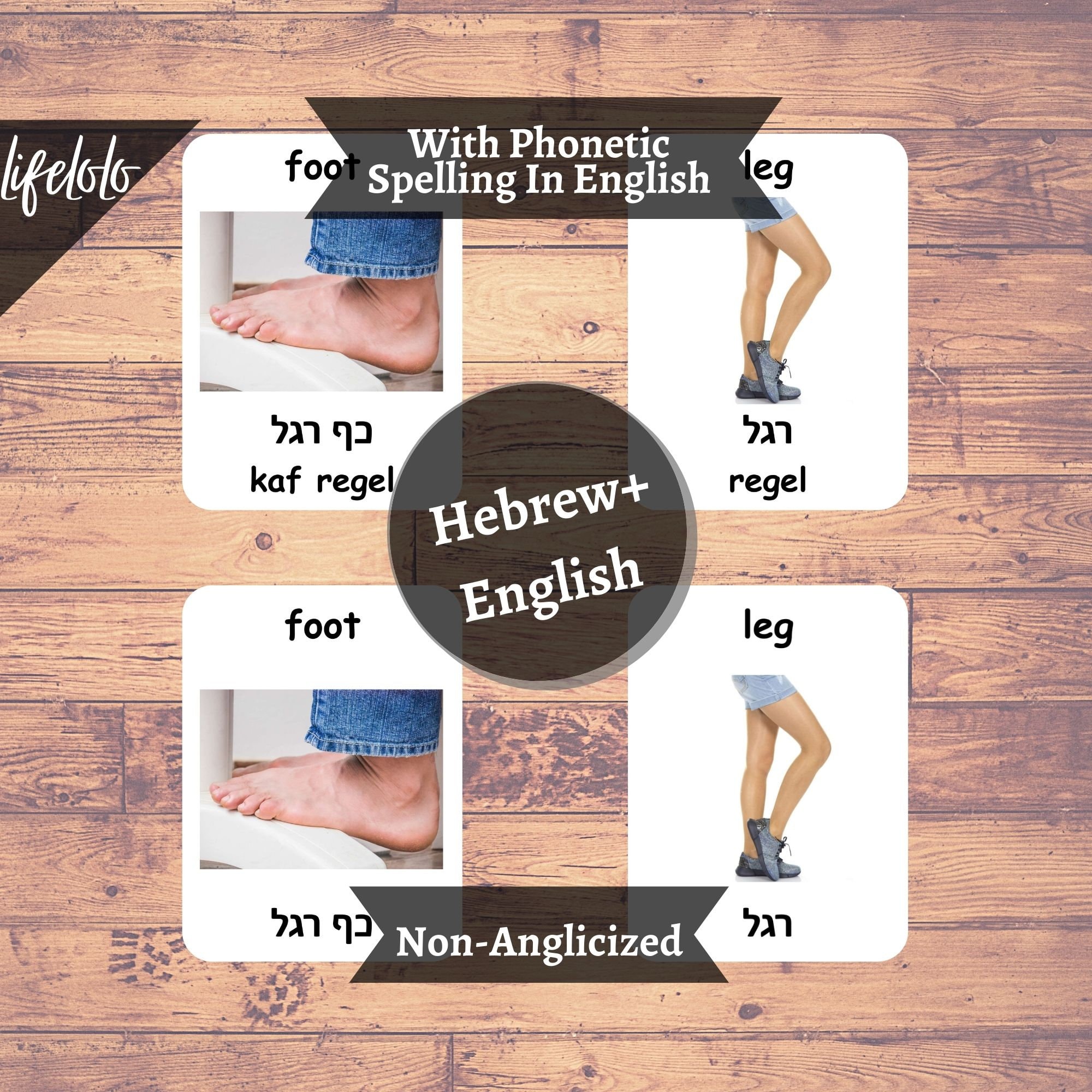 Body Parts real HEBREW English Bilingual Cards 24 - Etsy