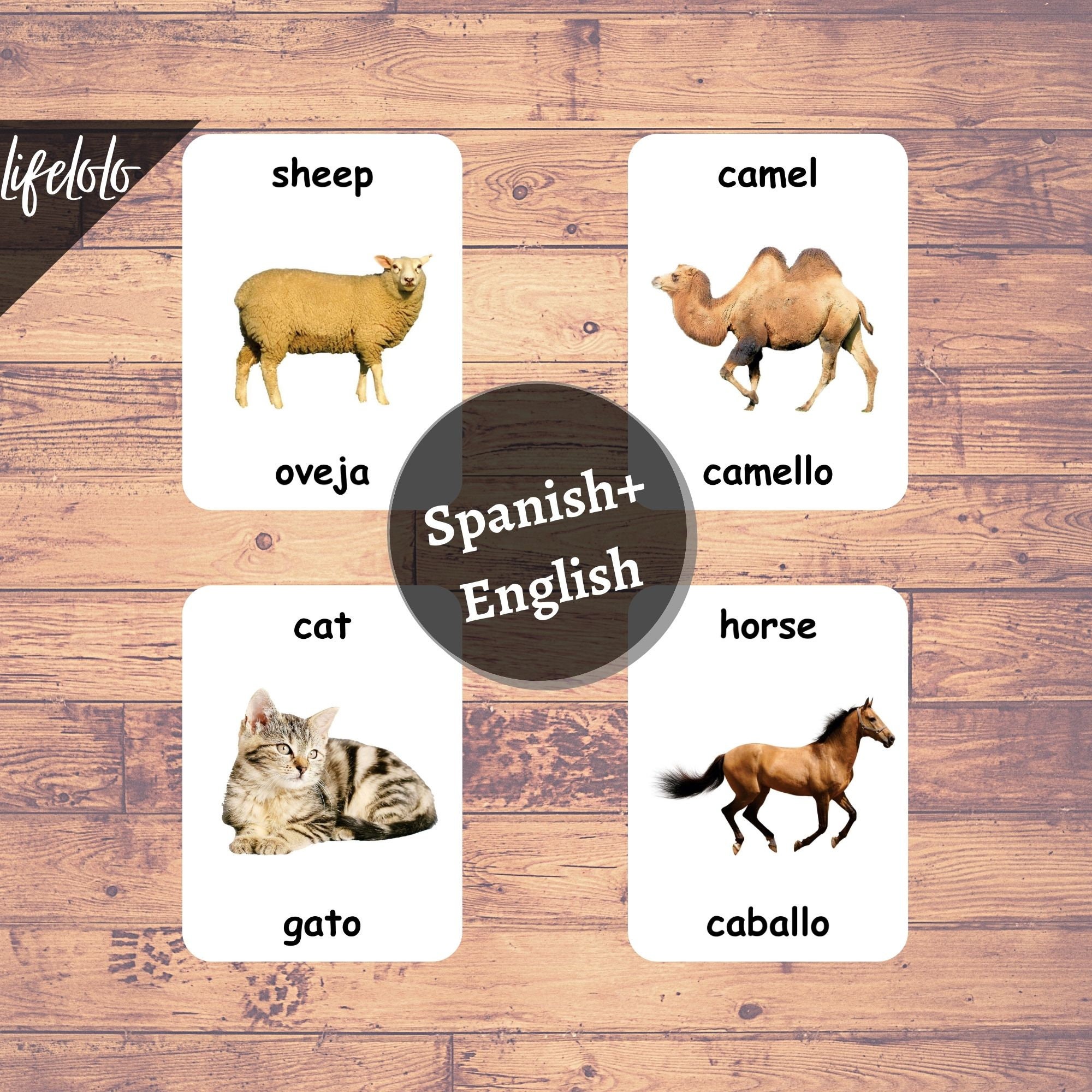 Farm Animals SPANISH English Bilingual Cards 27 Spanish | Etsy