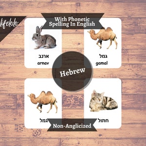 Farm Animals HEBREW English Bilingual Cards 27 Hebrew Flash Cards Three ...