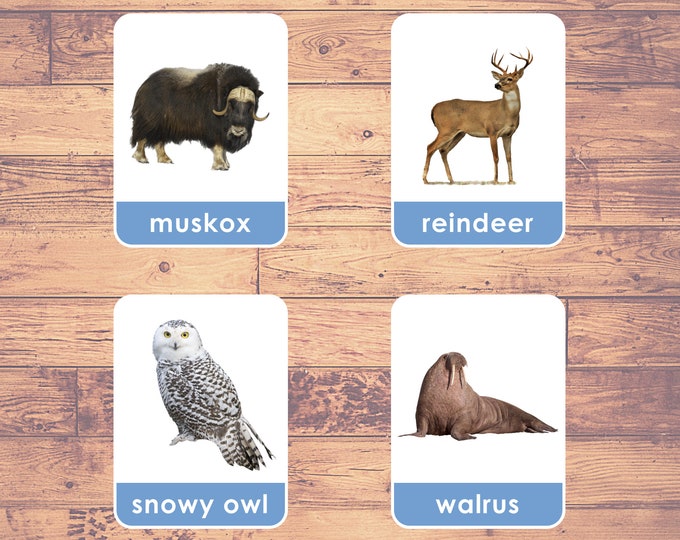 Arctic Animals - Etsy Canada