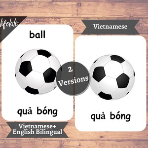 VIETNAMESE Flash Cards BUNDLE - Vietnamese English Bilingual Cards ...