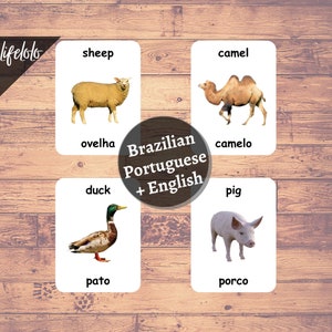 Farm Animals | Brazilian PORTUGUESE | English Bilingual Cards | 27 ...
