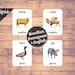 Farm Animals Brazilian PORTUGUESE English Bilingual Cards 27 Portuguese ...