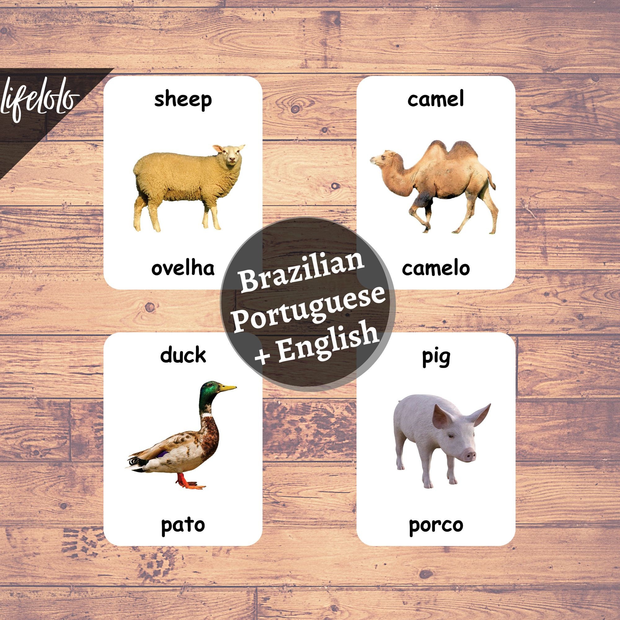 Farm Animals Brazilian PORTUGUESE English Bilingual Cards - Etsy