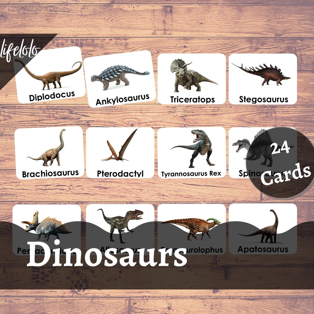 Dinosaurs Flash Cards | Montessori Cards | 3 Part Cards, Kids Printable ...