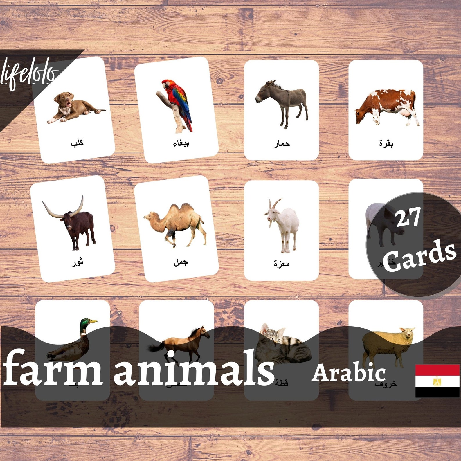 Farm Animals ARABIC English Bilingual Cards 27 Arabic - Etsy