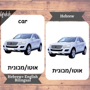 First Words HEBREW Version - English Bilingual Cards | 48 Hebrew Flash ...