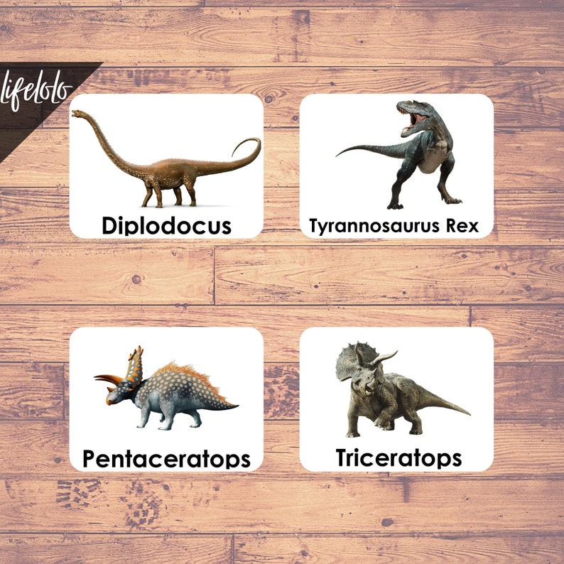 Dinosaurs Flash Cards Montessori Cards 3 Part Cards Kids - Etsy