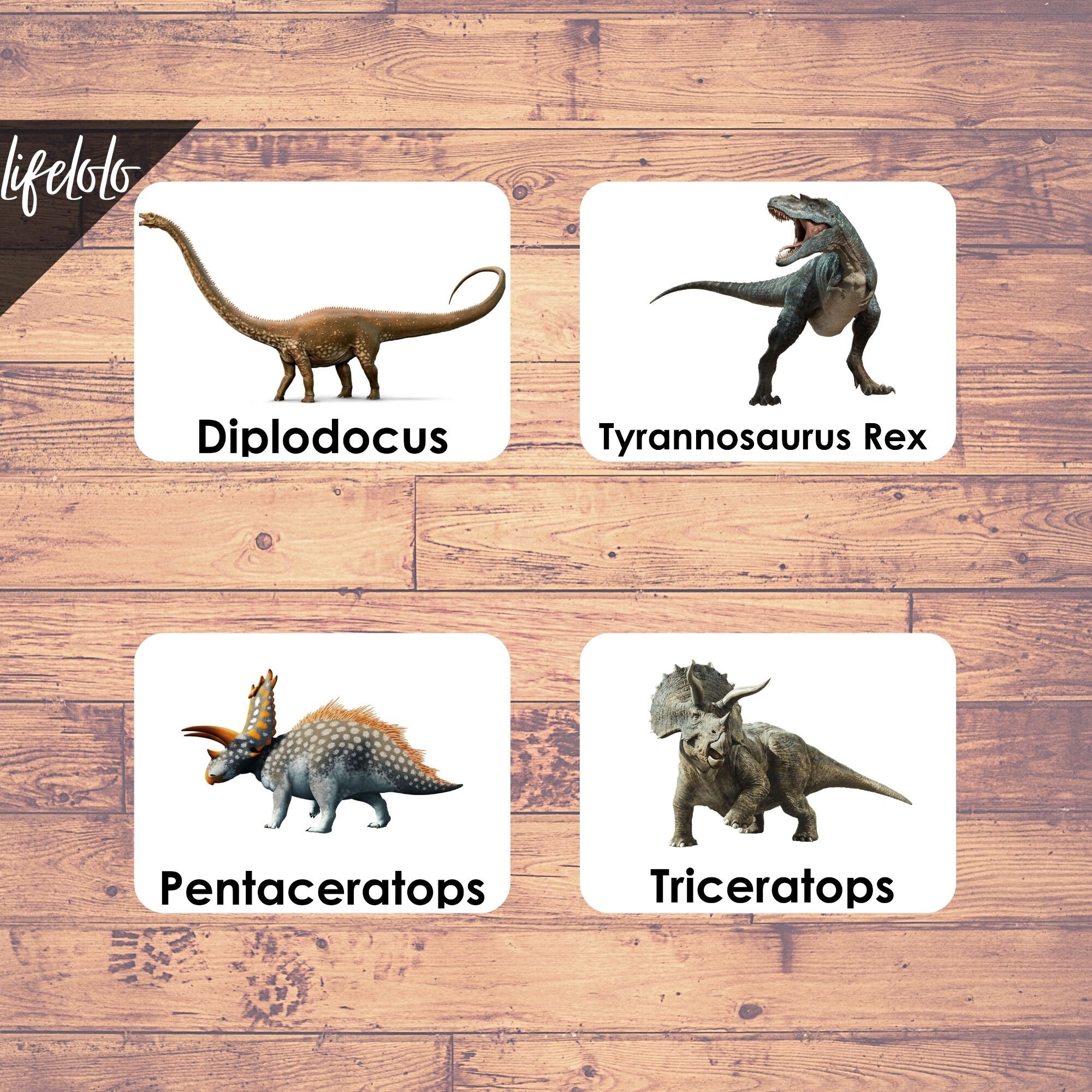 Dinosaurs Flash Cards Montessori Cards 3 Part Cards Kids - Etsy