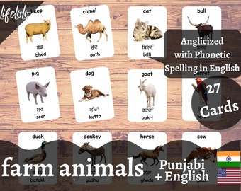 Farm Animals in Punjabi Flash Cards,printable Flash Cards,punjabi ...