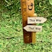 Miniature Fairy Garden Sign, This Way, That Way, Wood Garden Path Sign ...