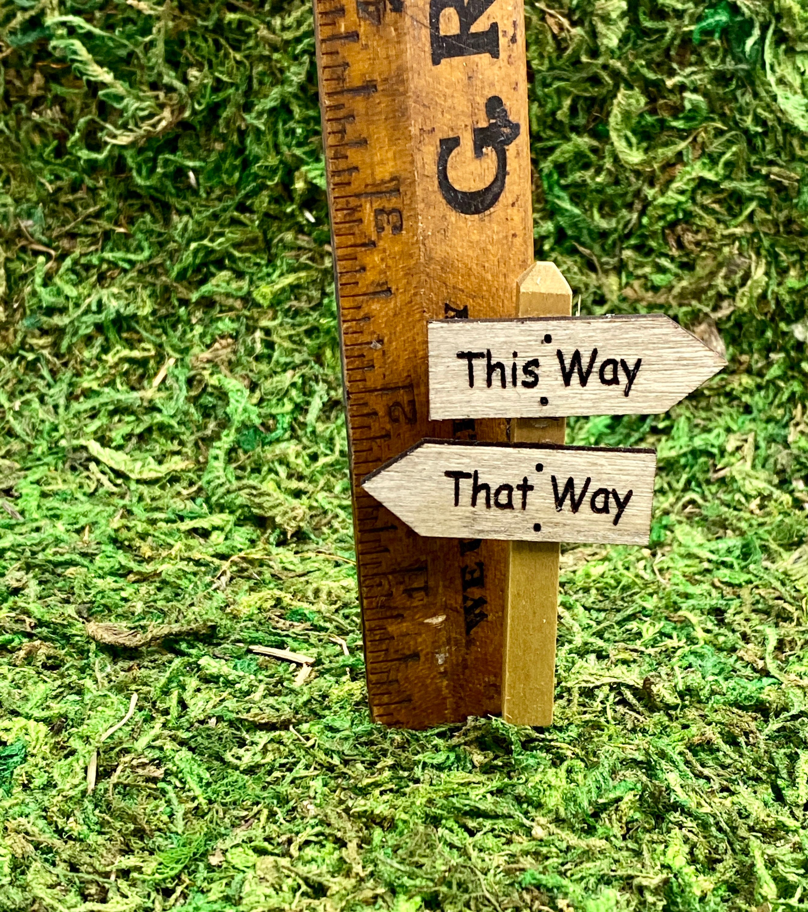 Miniature Fairy Garden Sign - This Way, That Way Wood Path Sign ...