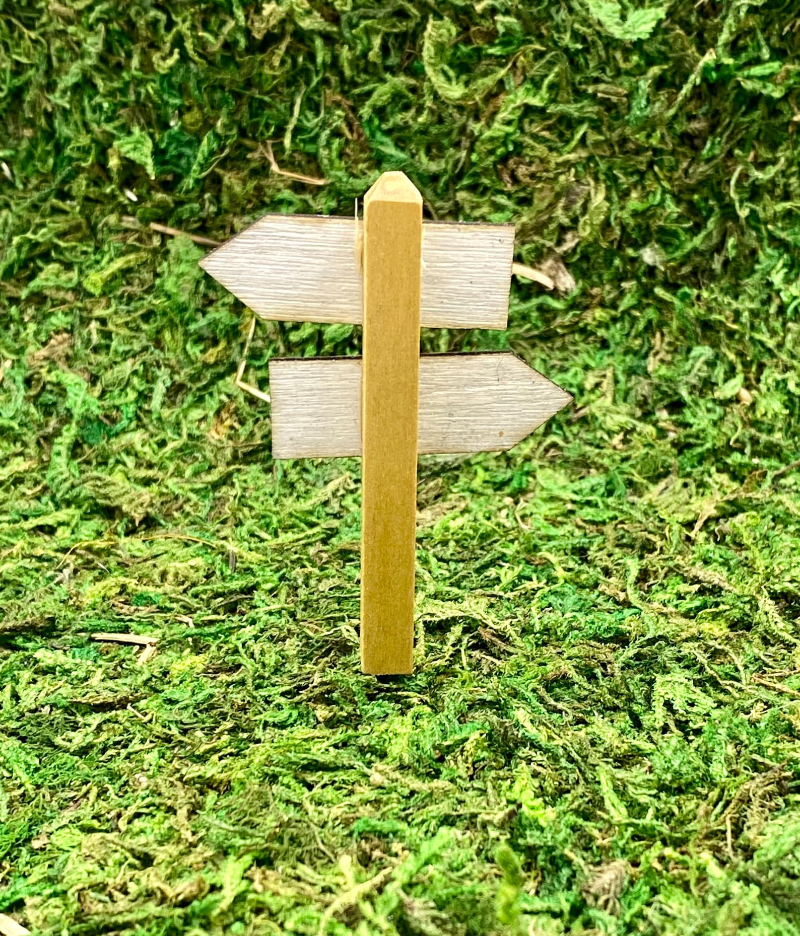 Miniature Fairy Garden Sign - This Way, That Way Wood Path Sign ...