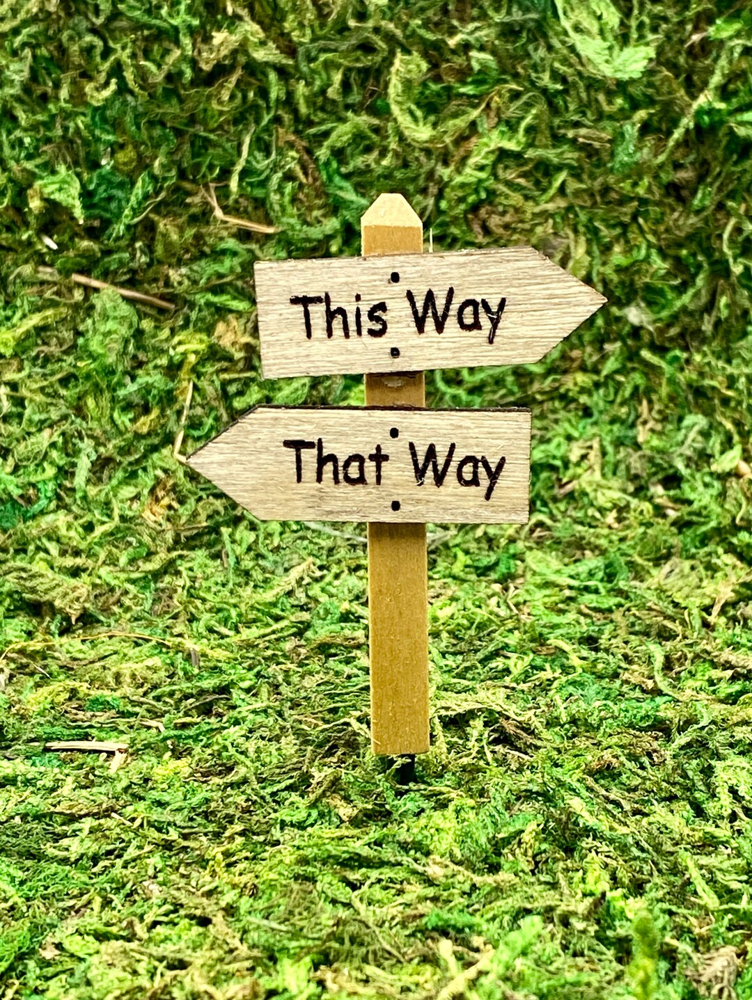 Miniature Fairy Garden Sign - This Way, That Way Wood Path Sign ...