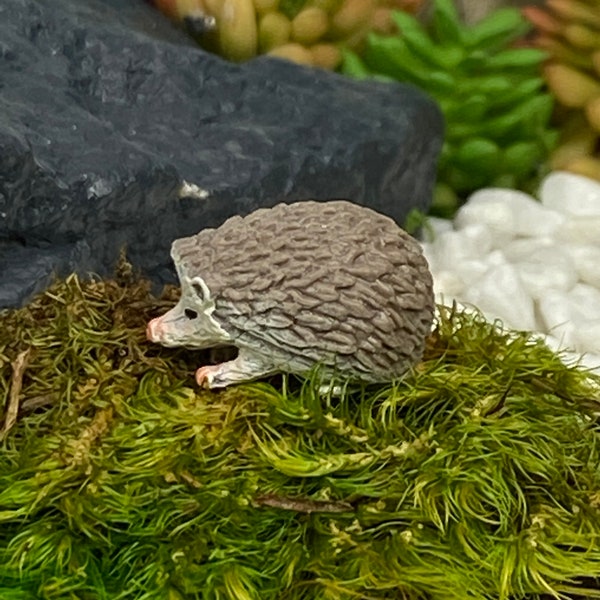 Miniature Hedgehog - Etsy