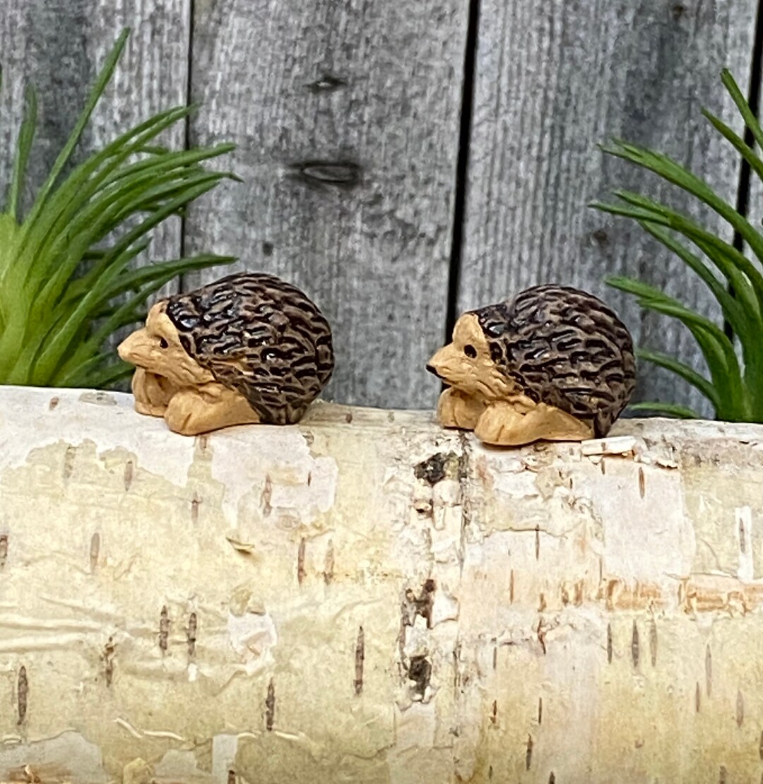 Micro Miniature Hedgehogs , 1 Long, Terrarium Fairy Garden, Animal ...