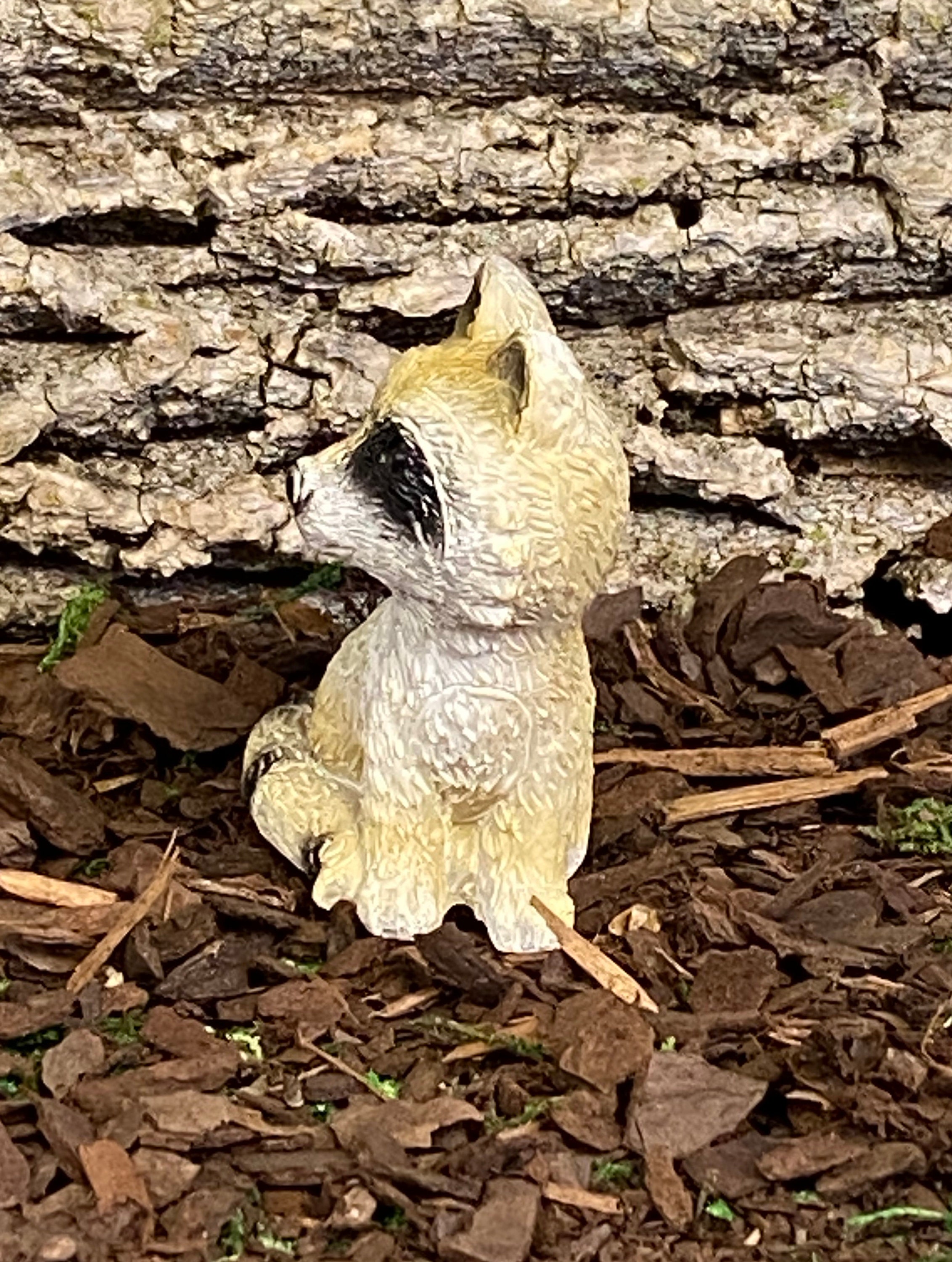 Miniature Sitting Raccoon Terrarium Accessories Fairy Garden - Etsy