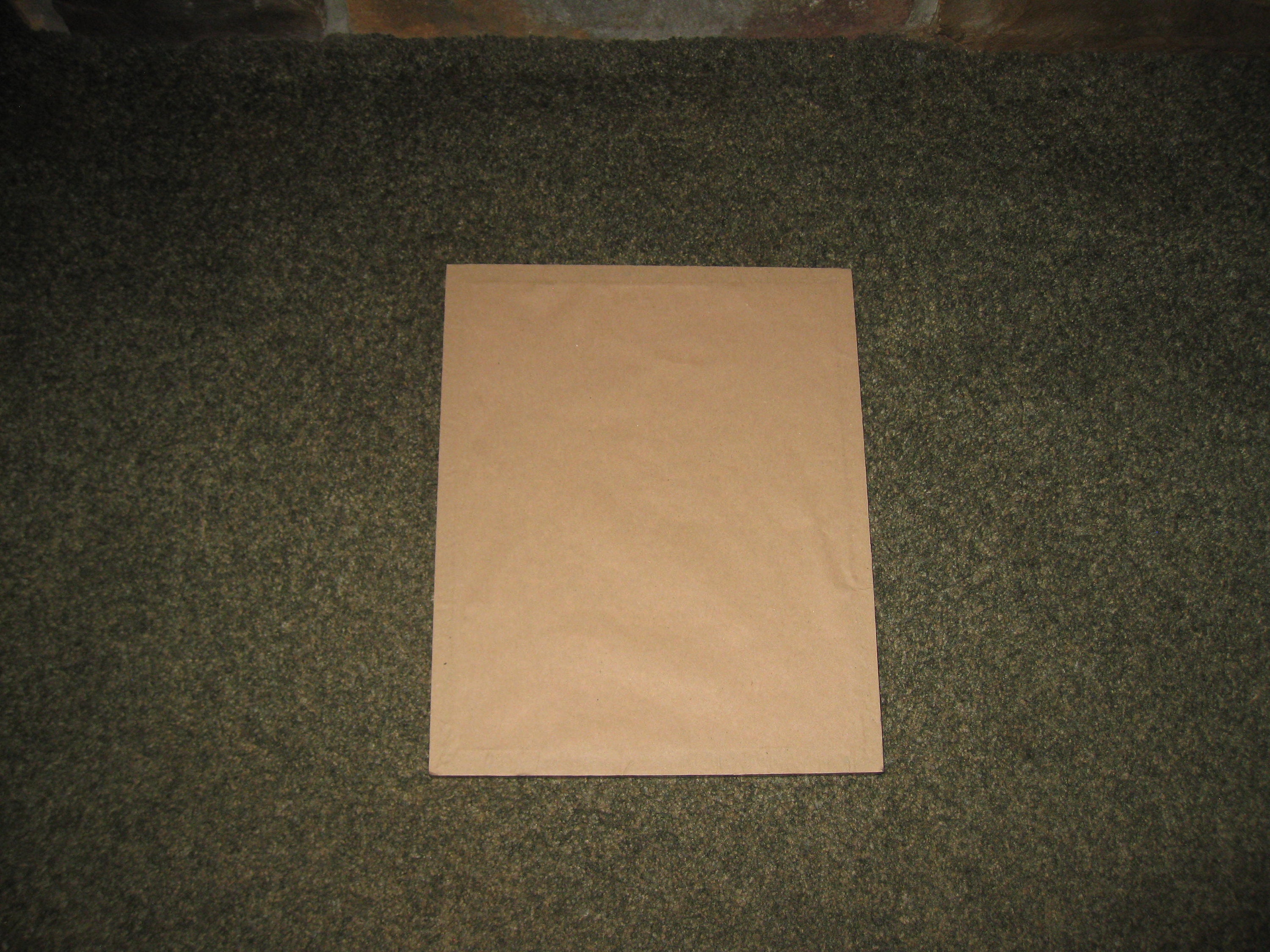 STEVE LEONARDI NUMBERED Print Racoon 708/1000 Oval Mat Very Light Pink ...