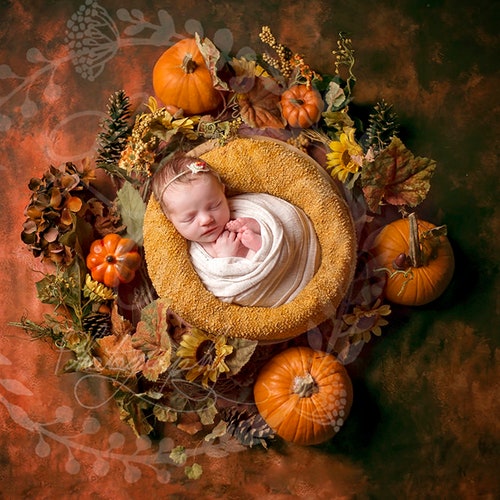 INSTANT DOWNLOAD: Fall Newborn Digital Background Collection - Etsy