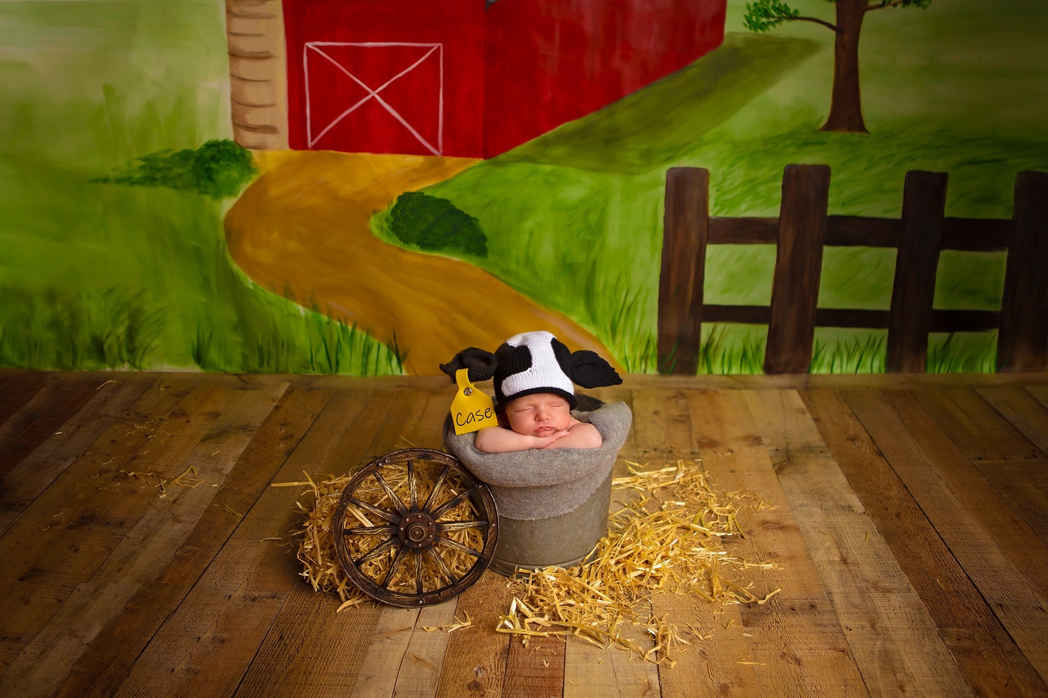 Farm and Barn Yard Digital Backdrop - Etsy