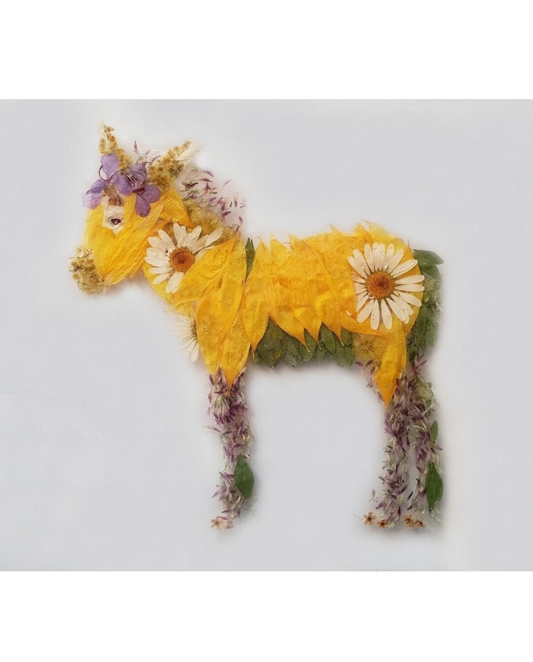 Donkey, Note Cards, Flowers, Donkey Gift, Stationary, Garden Décor ...